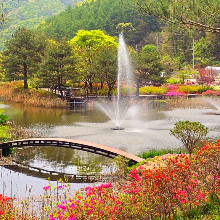 충북 진천 아이와 피크닉 놀이터 산책로 물놀이장까지 만뢰산자연생태공원주차장 네이버 블로그