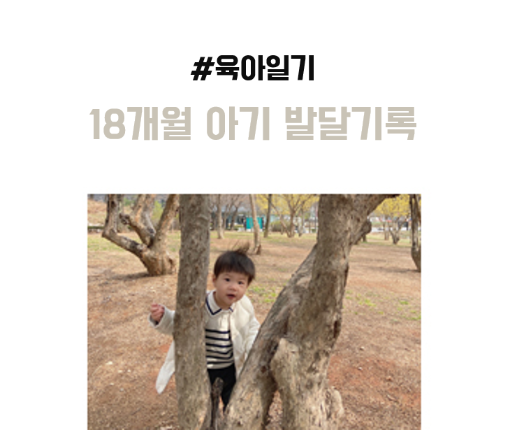 18개월 아기 발달 언어 발달 놀이 장난감 네이버 블로그