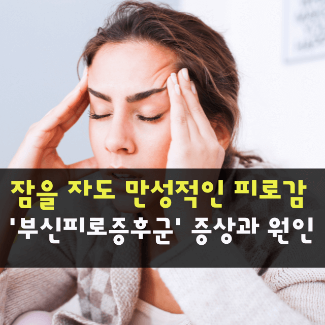 경산밝은약국 만성피로불면증이 오래 간다면 부신피로증후군 증상과 원인 해결책 네이버 블로그