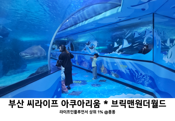 부산 아이랑 해운대 볼거리 씨라이프 부산 아쿠아리움 브릭맨 원더월드 실내 아이와 함께 가볼만한곳 추천 네이버 블로그