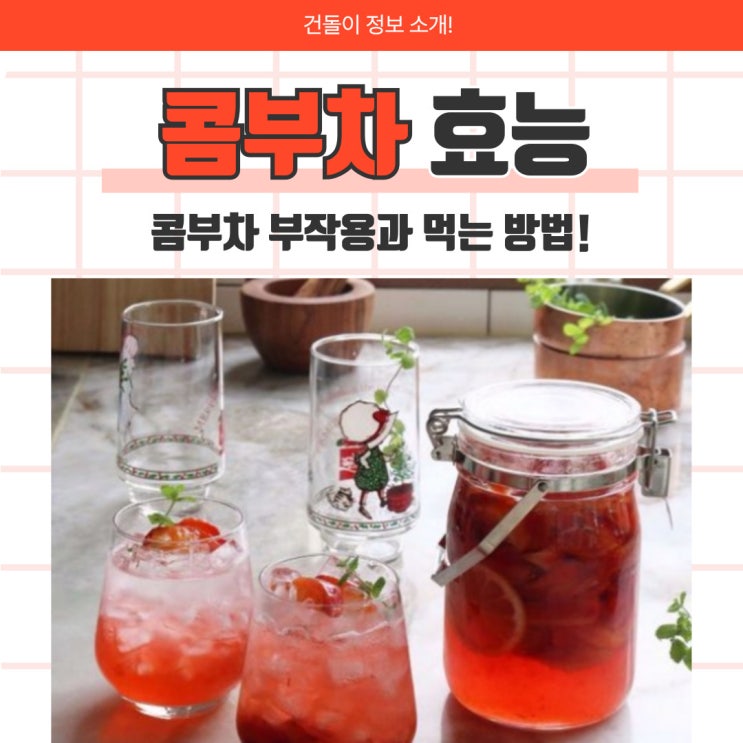 콤부차 효능 부작용 정보와 콤부차 뜻 무엇인가 네이버 블로그