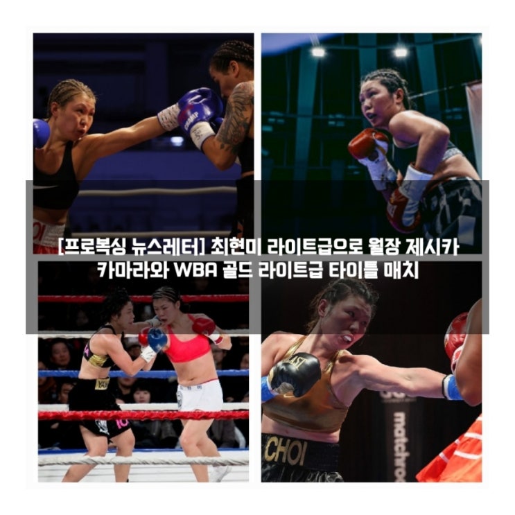 프로복싱 뉴스레터 최현미 라이트급으로 월장 제시카 카마라와 Wba 골드 라이트급 타이틀 매치 네이버 블로그
