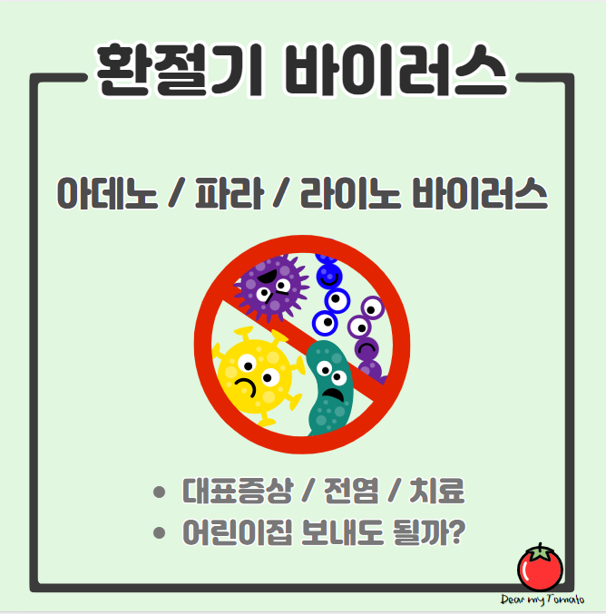 아데노바이러스 파라바이러스 라이노 리노바이러스 증상 전염 치료 어린이집까지 총정리 네이버 블로그