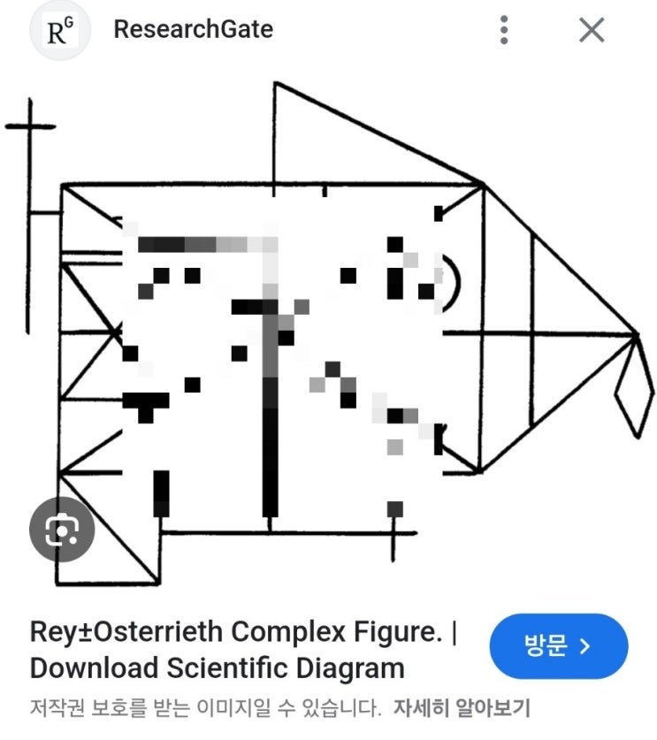레이 복합 도형 검사(Rey Complex Figure Test)가 측정하는 뇌기능. : 네이버 블로그