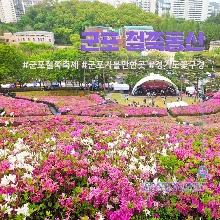 경기도 가볼만한곳 군포 수리산 철쭉동산 철쭉축제 4월 5월 꽃구경 데이트 코스 네이버 블로그