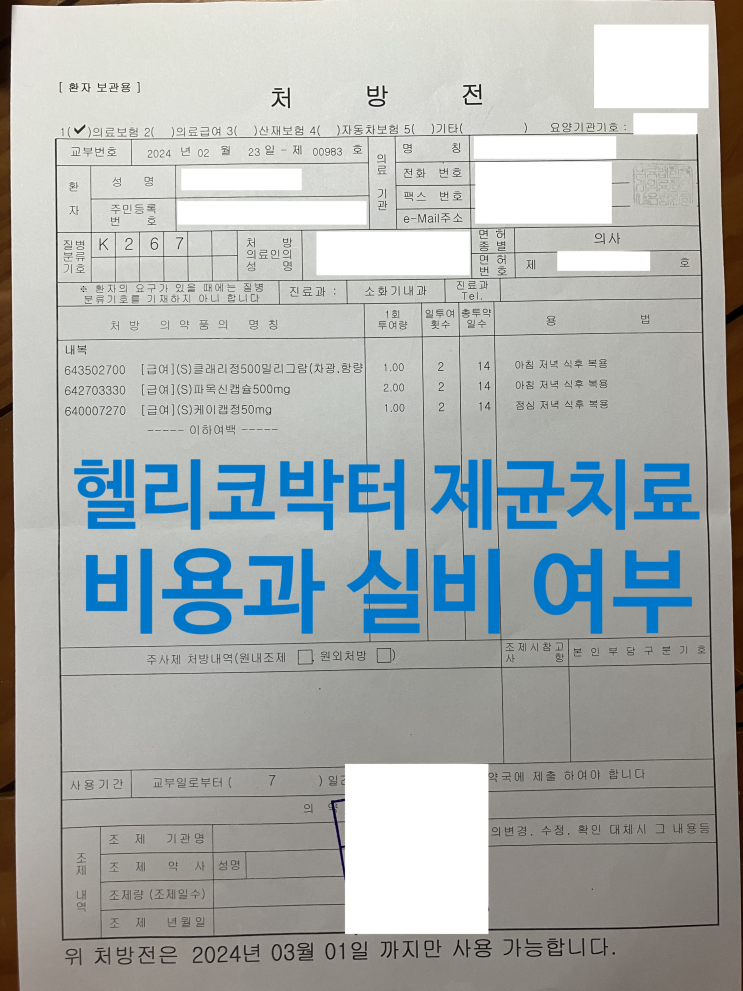 헬리코박터 제균치료 후기비용과 실비 여부 네이버 블로그