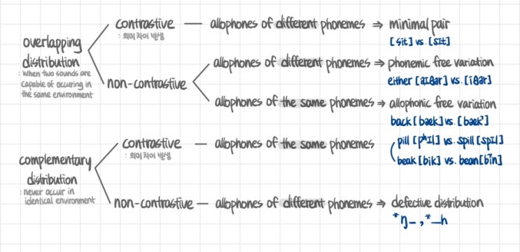 [음운론] 기본이지만 헷갈리는 개념들 | Phoneme / phone / allophone / complementary ...