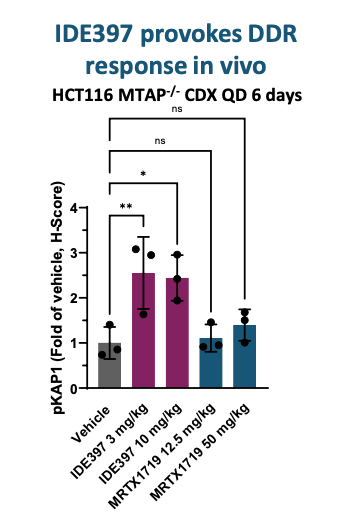 [임상시험 데이터 읽기] pKAP1의 의미, Fold of vehicle, H-Score의 뜻? : 네이버 블로그