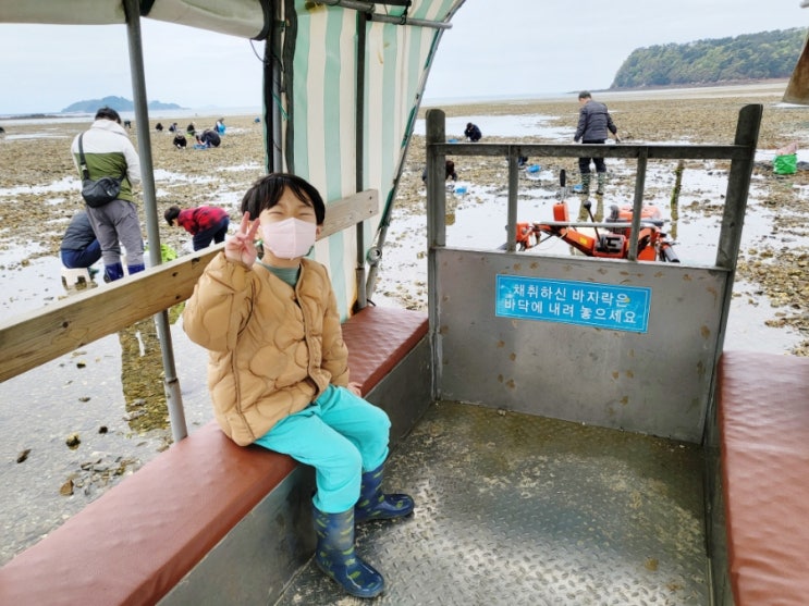 안면도 병술만 어촌체험마을 갯벌체험 바지락체험 조개캐기 아이랑아일랜드 리솜 근처 네이버 블로그