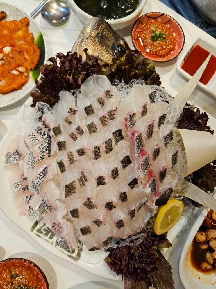부산맛집남포동맛집 신선한 자갈치횟집 남포동횟집 양씨상회도매횟집 네이버 블로그