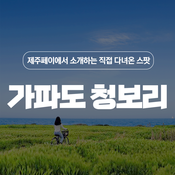 가파도 청보리 축제 정보 배 예약 방법 제주 운진항 시간표 네이버 블로그