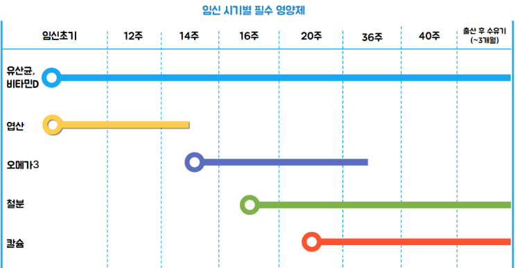 임신출산 임신 시기별 필수 영양제 임신 초기 필수 영양제 추천 네이버 블로그