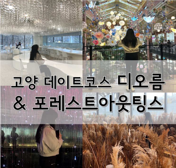 고양시 데이트코스 1차 디오름 2차 포레스트아웃팅스 포토존 인생샷건지는 경기도 대형카페 추천 네이버 블로그