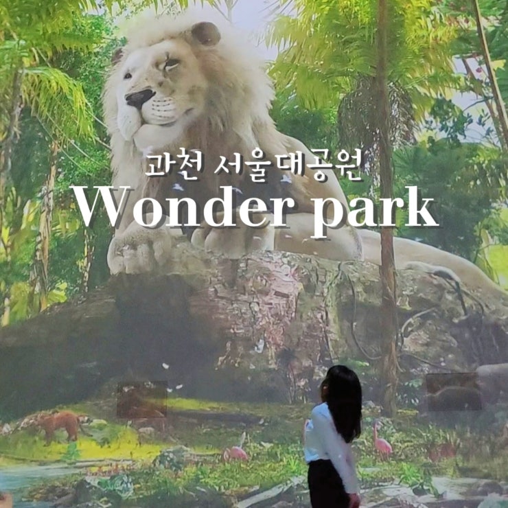 과천 서울대공원 매직플로우 원더 파크 할인 실내 데이트 추천 네이버 블로그