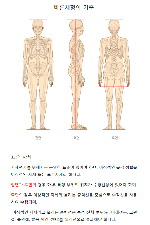 2주만의 기적 거북목개선 바른체형의 기준 네이버 블로그
