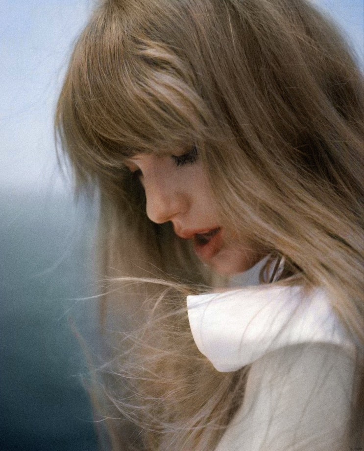 TTPD 불호 리뷰 : 네이버 블로그