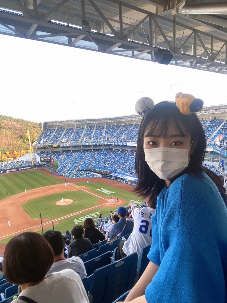 라이온즈파크 N년차의 좌석 별 먹거리 추천 및 배달 음식 추천🦁💙 네이버 블로그