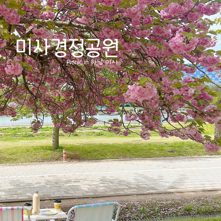 하남 미사 겹벚꽃 명소 미사경정공원 주치꿀팁 실시간 개화현황 네이버 블로그