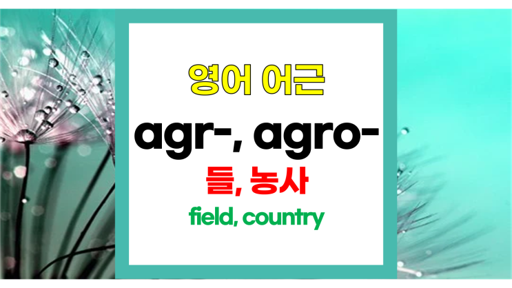 [영어어원과 어근] agriculture, agricultural, agrarian의 어원은 라틴어 ager, agris ...