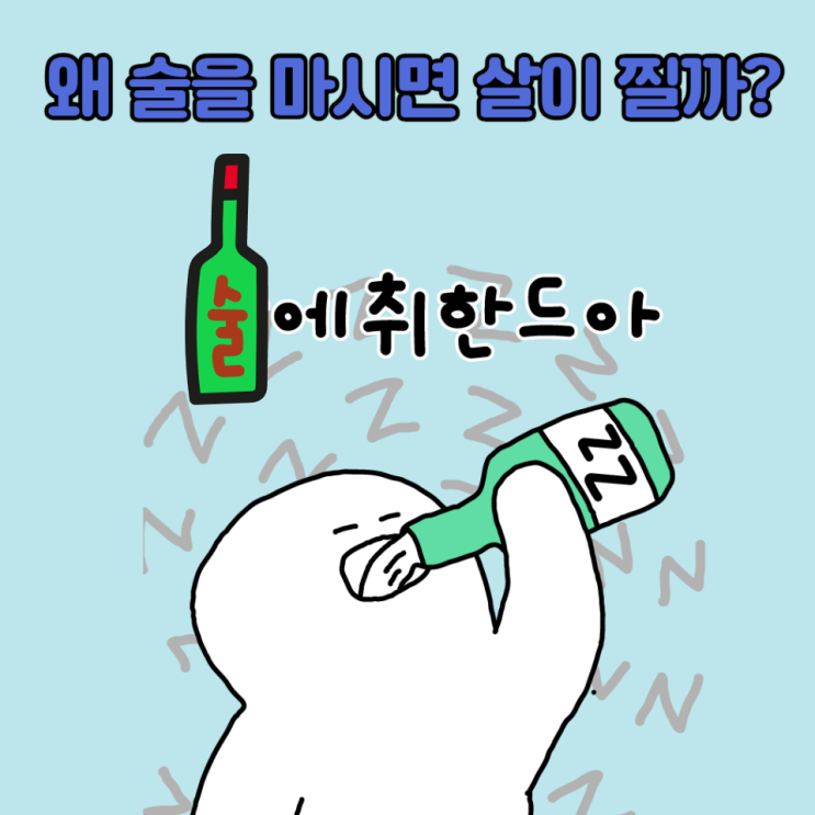 홍제동 피티 술이 살찌는 이유 네이버 블로그