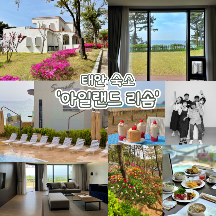 태안 숙소 추천 아일랜드 리솜 리조트 G50 숙박 완전정복편객실편의시설조식단락워터파크근처여행지 네이버 블로그