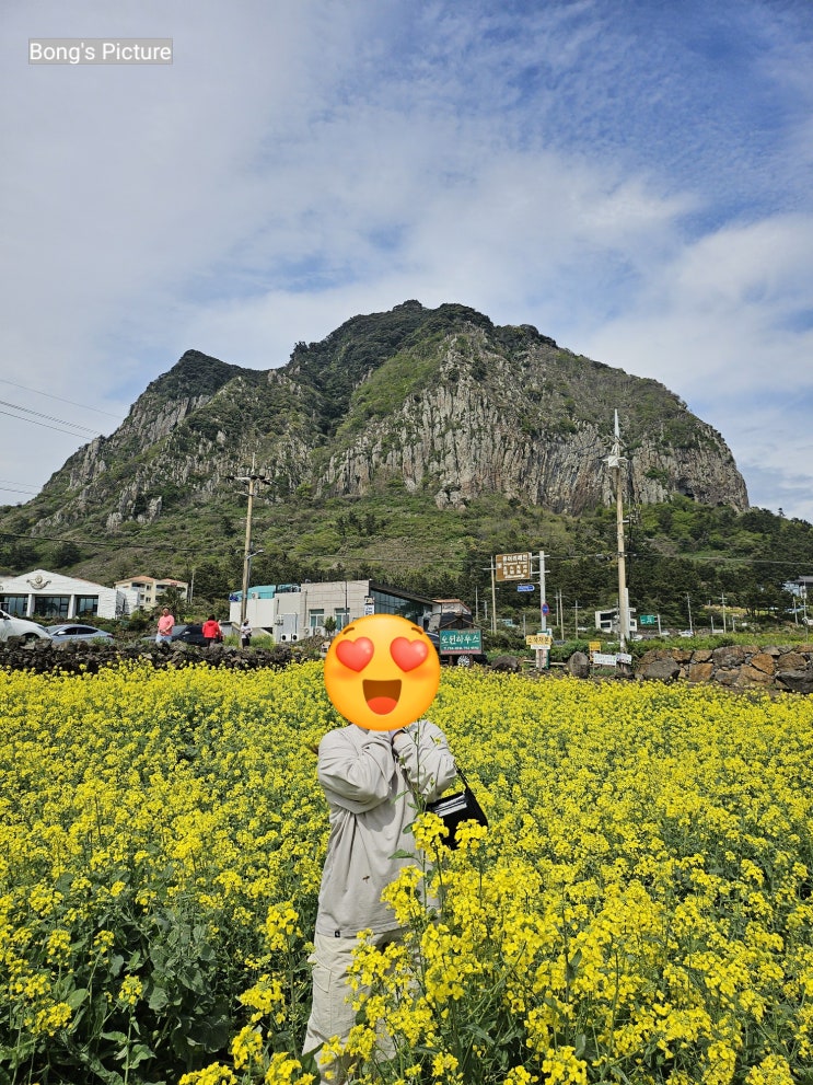 4월 제주 여행 뚜벅이 3일차 오후 용머리해안소품샵먹거리 산방산 유채꽃 네이버 블로그