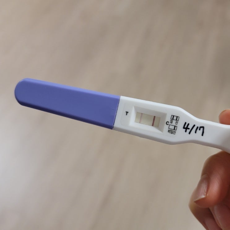 1주차~3주차 얼리 임신 테스트기 얼리 임테기 사용시기 임신 주차 계산 네이버 블로그