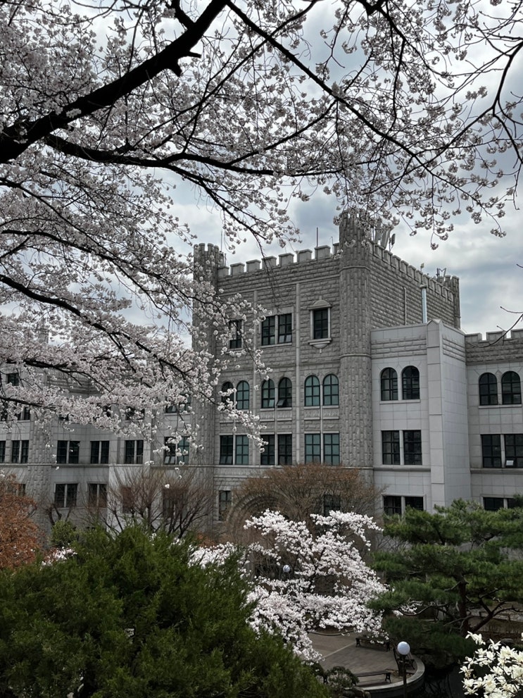 번아웃 니가 몬데。 : 네이버 블로그