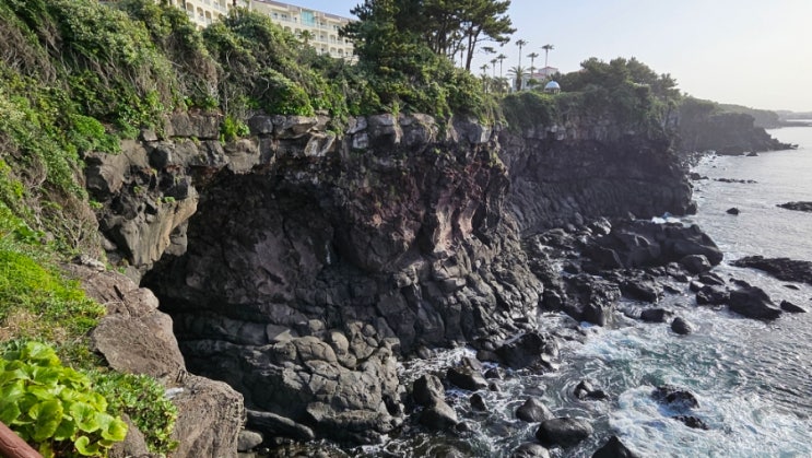 [2024.04.18] 제주올레길 5코스 (남원-쇠소깍) : 네이버 블로그