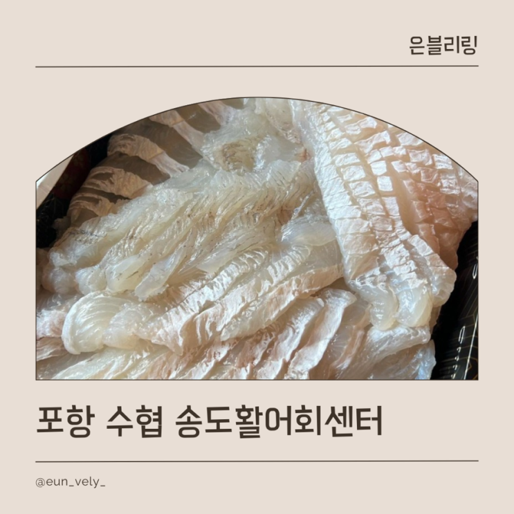 포항수협 송도활어회센터 오션뷰 자연산회맛집 포장후기 네이버 블로그