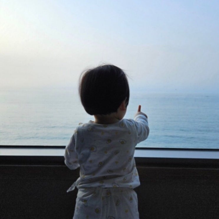 2024 동해 한달살기 4 : 네이버 블로그