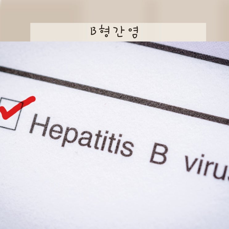 B형간염 증상 전염 항원 항체 검사 양성 보균자 치료제 완치제 있을까 비형간염 네이버 블로그