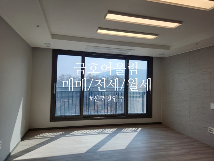 진천 이월 금호어울림 신축 첫입주 전세월세매매 최다 매물 보유하고 있어요 네이버 블로그