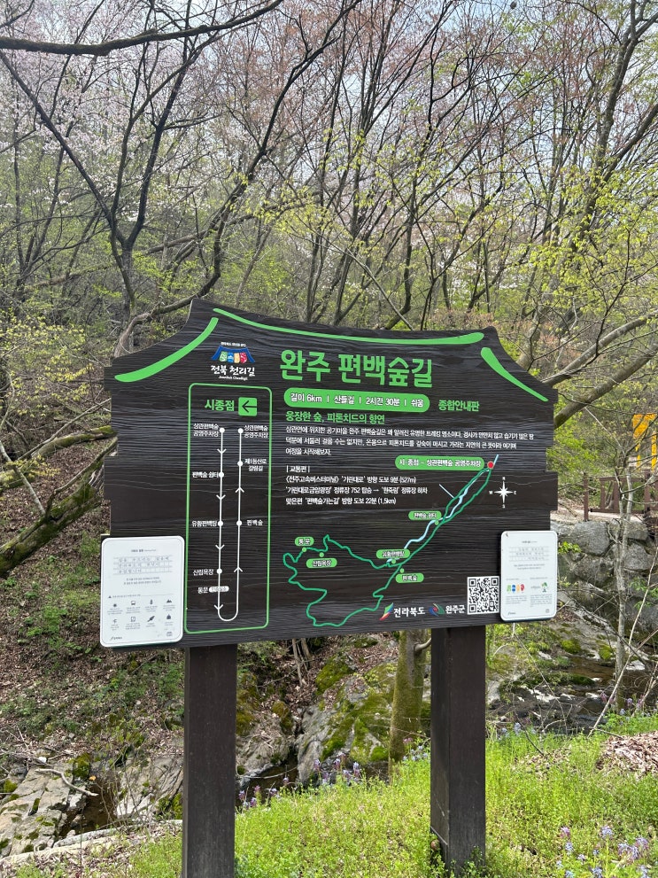 전주근교 완주 15분 거리 힐링 피크닉 상관편백나무숲 주차방법 피크닉포인트 네이버 블로그