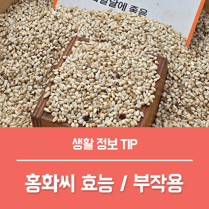 홍화씨 효능 베스트5 홍화꽃 특징 부작용은 네이버 블로그