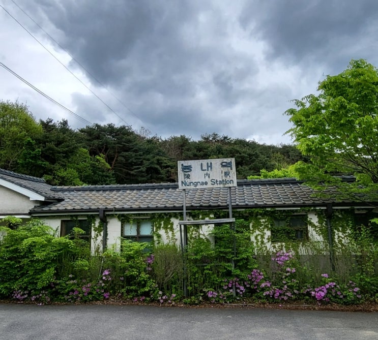 240421 서울근교 아이랑 남양주 능내역폐역 자전거 땡큐버스 58 3번 네이버 블로그