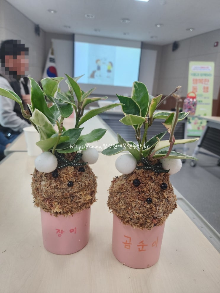영주 봉화 안동 예천 식물과 함께 하는 장애인 평생교육프로그램 그림책 독서 원예수업 내친구 토피어리 네이버 블로그