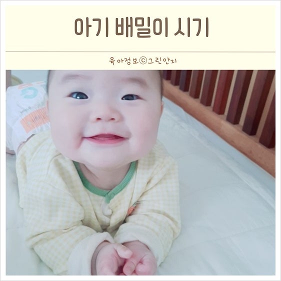 아기 기어다니는 시기 배밀이 시기 기는 아기 언제부터 연습방법 네이버 블로그