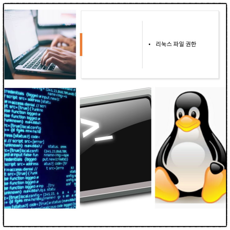 리눅스 파일 권한 관리 가이드 파일 소유권 읽기 쓰기 실행 관리 네이버 블로그