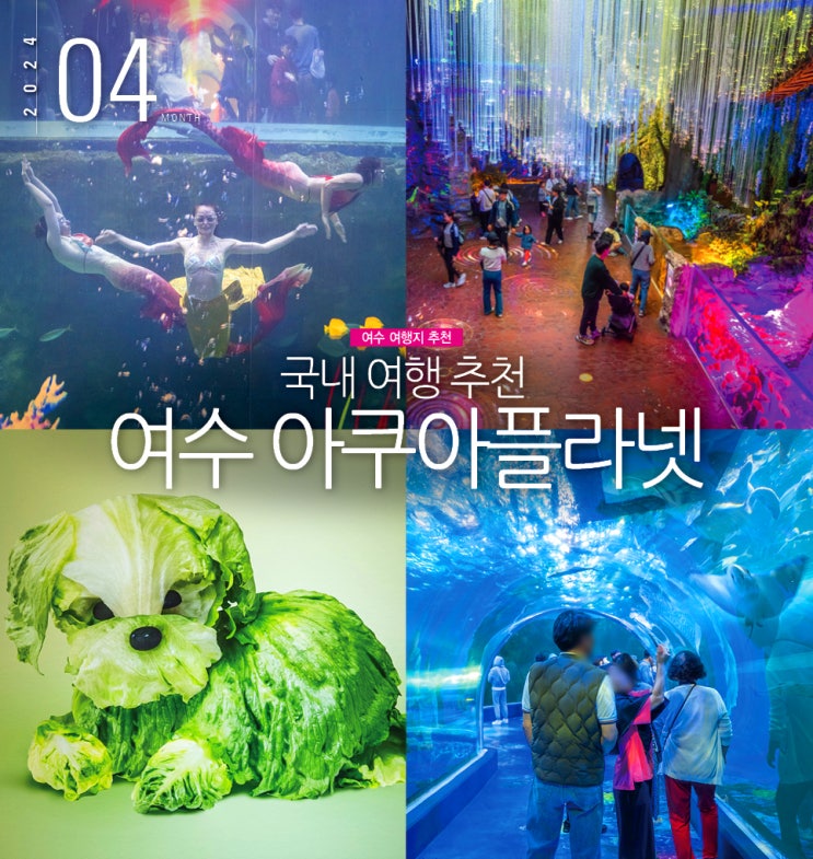 국내 여행 추천 여수 여행 코스 놀거리 여수 아쿠아플라넷 미디어아트 전시까지 갓성비 필수 코스 네이버 블로그