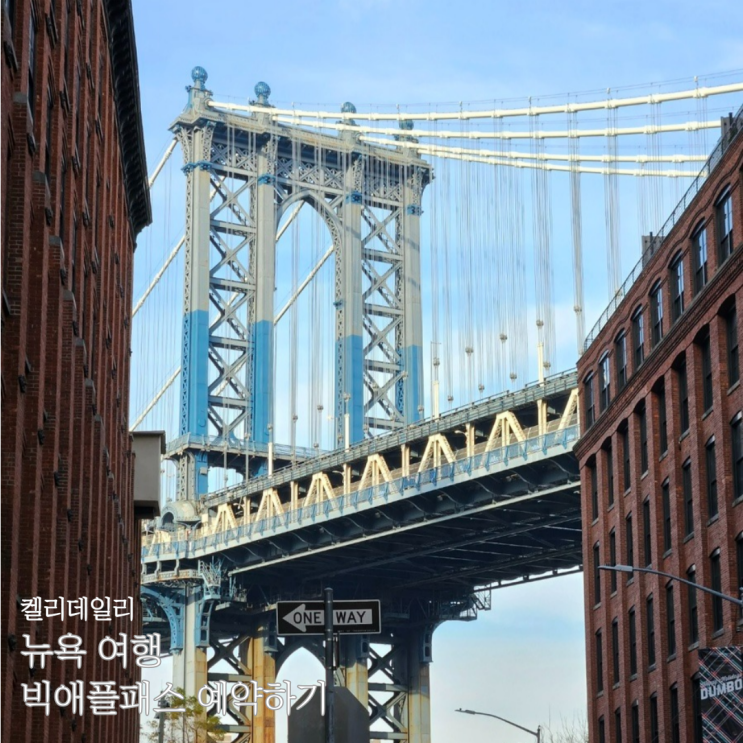 미국 뉴욕 여행 준비 필수품 타미스 빅애플패스 예약 Vs 앳홈트립 스마트패스 네이버 블로그