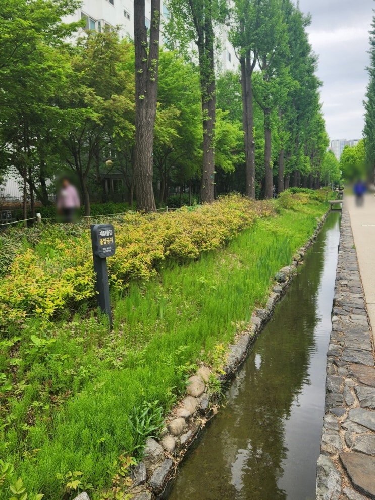 경의선 숲길 산책하기 좋은 연남동 거리 네이버 블로그