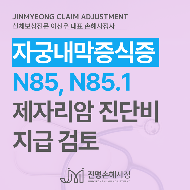 자궁내막증식증 N85, N85.1 제자리암 진단비(소액암 보험금) 지급 검토 : 네이버 블로그