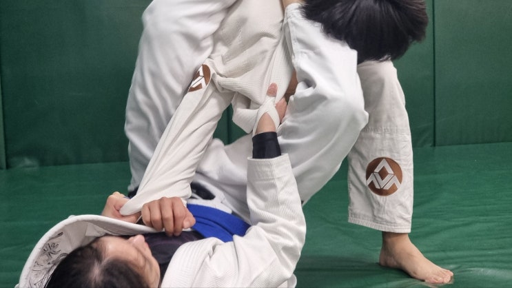 그래플링 라운지 송파주짓수 가락초 해누리초 석촌초 중대초 송파초 초등주짓수 송파태권도헬리오주짓수 네이버 블로그