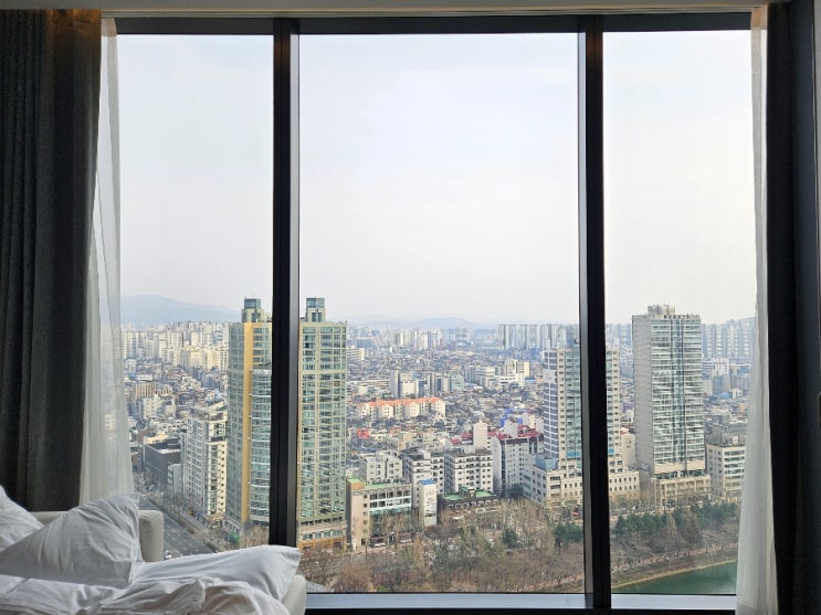 잠실 소피텔 앰배서더 서울 호텔 프레스티지 스위트룸 석촌호수뷰 숙박후기 네이버 블로그
