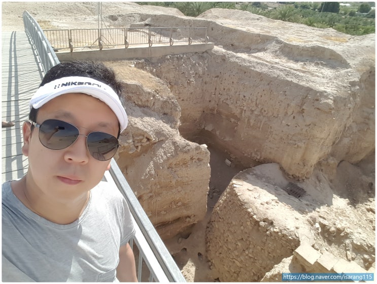 [이스라엘/여리고]삭개오의 돌무화과나무, 여리고성(Tel Jericho), 엘리사의 샘(Elisha's spring), 1만년의 ...