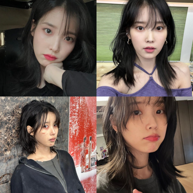 아이유 중단발 레이어드컷 허쉬컷 여자 헤어스타일 모음 : 네이버 블로그