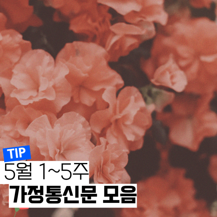 ๐์ ์น์ ์ด๋ฆฐ์ด์ง 5์ ๊ฐ์ ํต์ ๋ฌธใ
ฃ์ธ์ฌ๋ง๋ชจ์ใ
ฃ๊ฐํตใ
ฃ5์์ธ์ฌ๋งใ
ฃ์ด๋ฆฐ์ด๋ ์ธ์ฌ๋งใ
ฃ๊ฐ์ ํต์ ๋ฌธ์์ใ
ฃ์๊ฐ์ ์ใ
ฃ์์ ์๋งค๊ฑฐ์งใ
ฃ์์ ์๊ต์ก์ก์ง