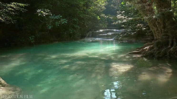 산림 산업기사응시자격 산림산업기사 취득자격 온라인 과정으로 4달만에 준비하는 과정 네이버 블로그