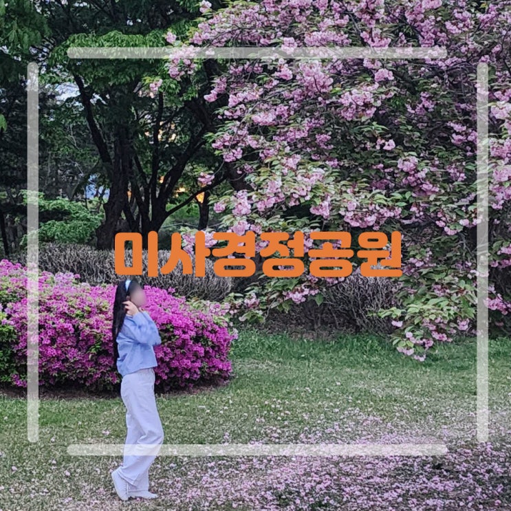 하남 미사경정공원 겹벚꽃 가볼만한곳 여행 놀거리 데이트 조정카누경기장 네이버 블로그